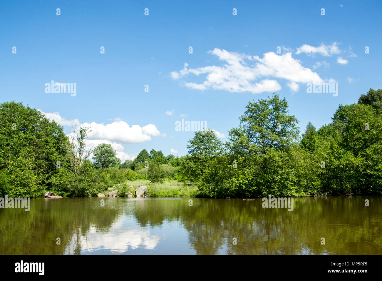 Trees around pond hi-res stock photography and images - Alamy
