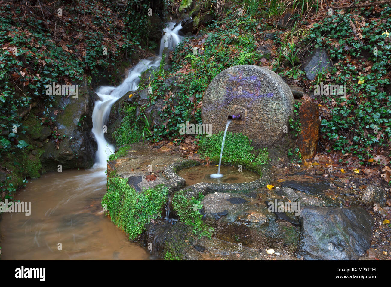 Natural Spring Fountain
