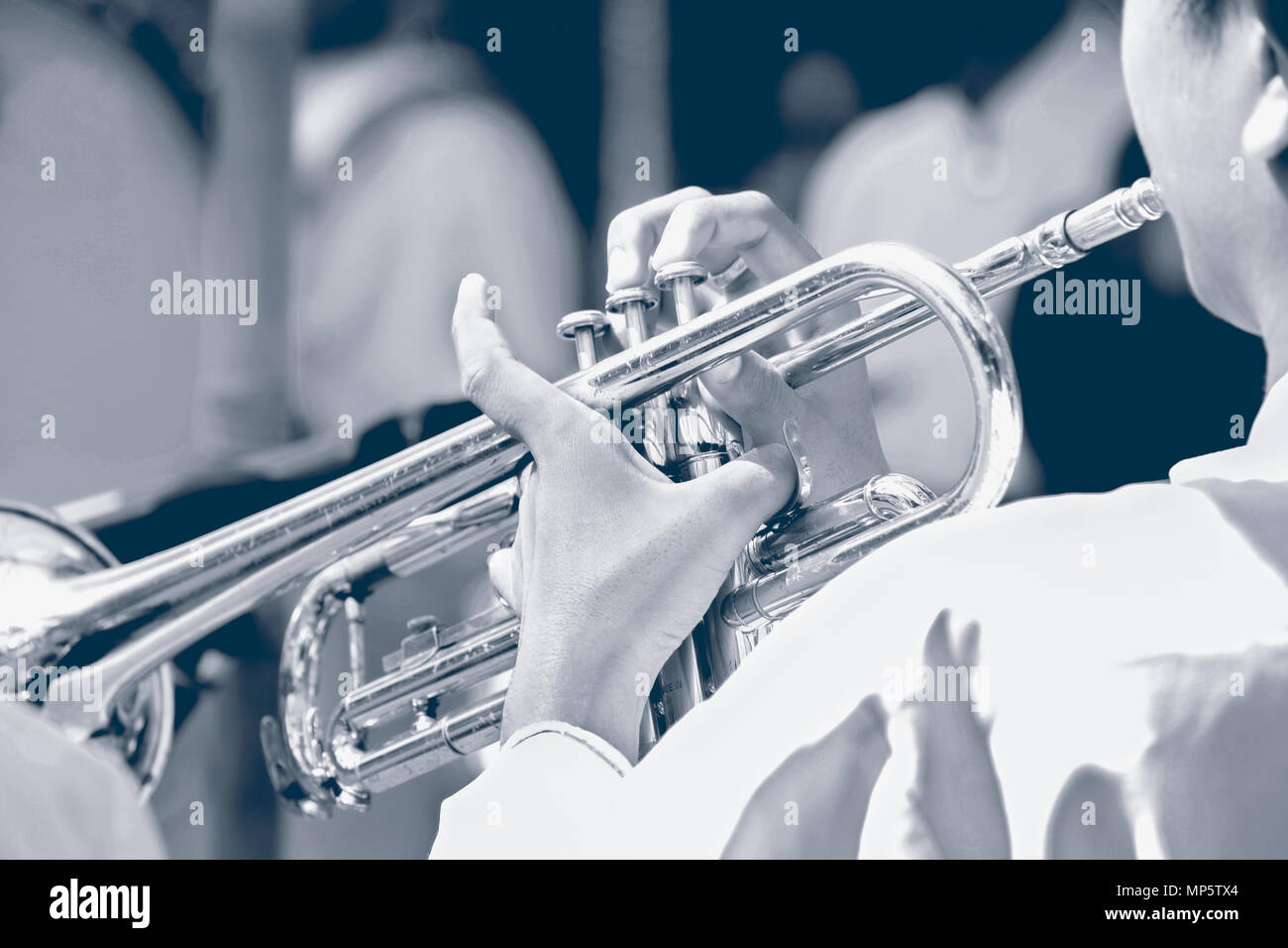 Close up trumpeter blowing the trumpet at outdoor concert. Black and ...