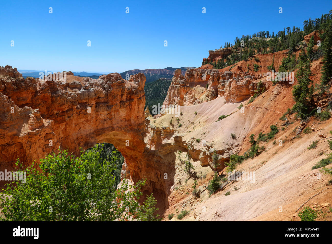 Natural Bridge at Bryce Canyon National Park, UT Stock Photo - Alamy