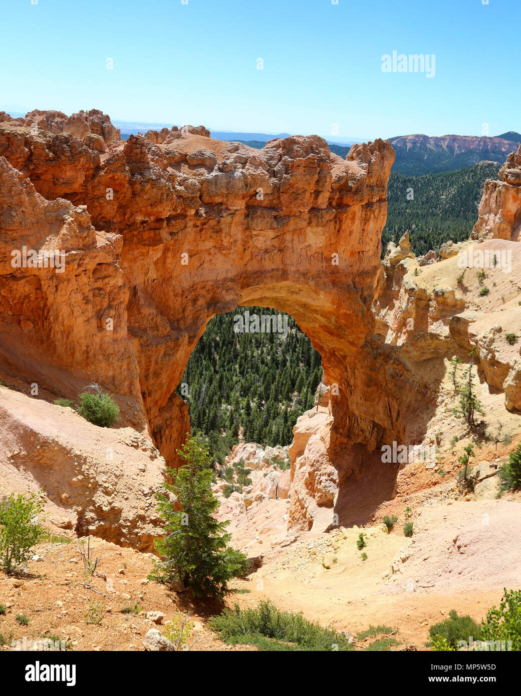 Natural Bridge at Bryce Canyon National Park, UT Stock Photo - Alamy