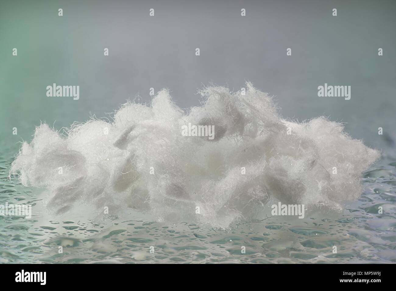 Cellulose fiber paper fibers hi-res stock photography and images - Alamy