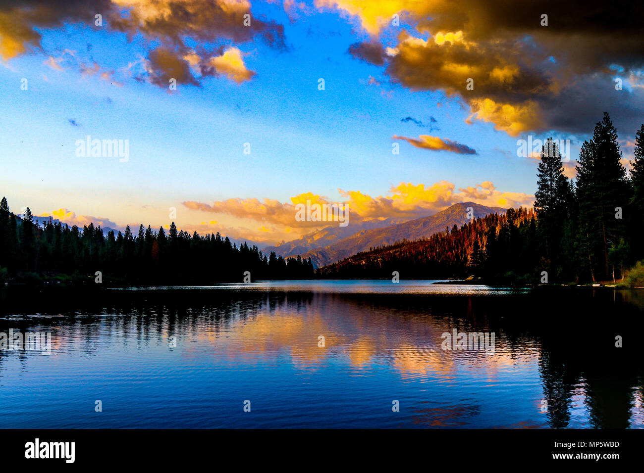Reflection on a lake Stock Photo - Alamy