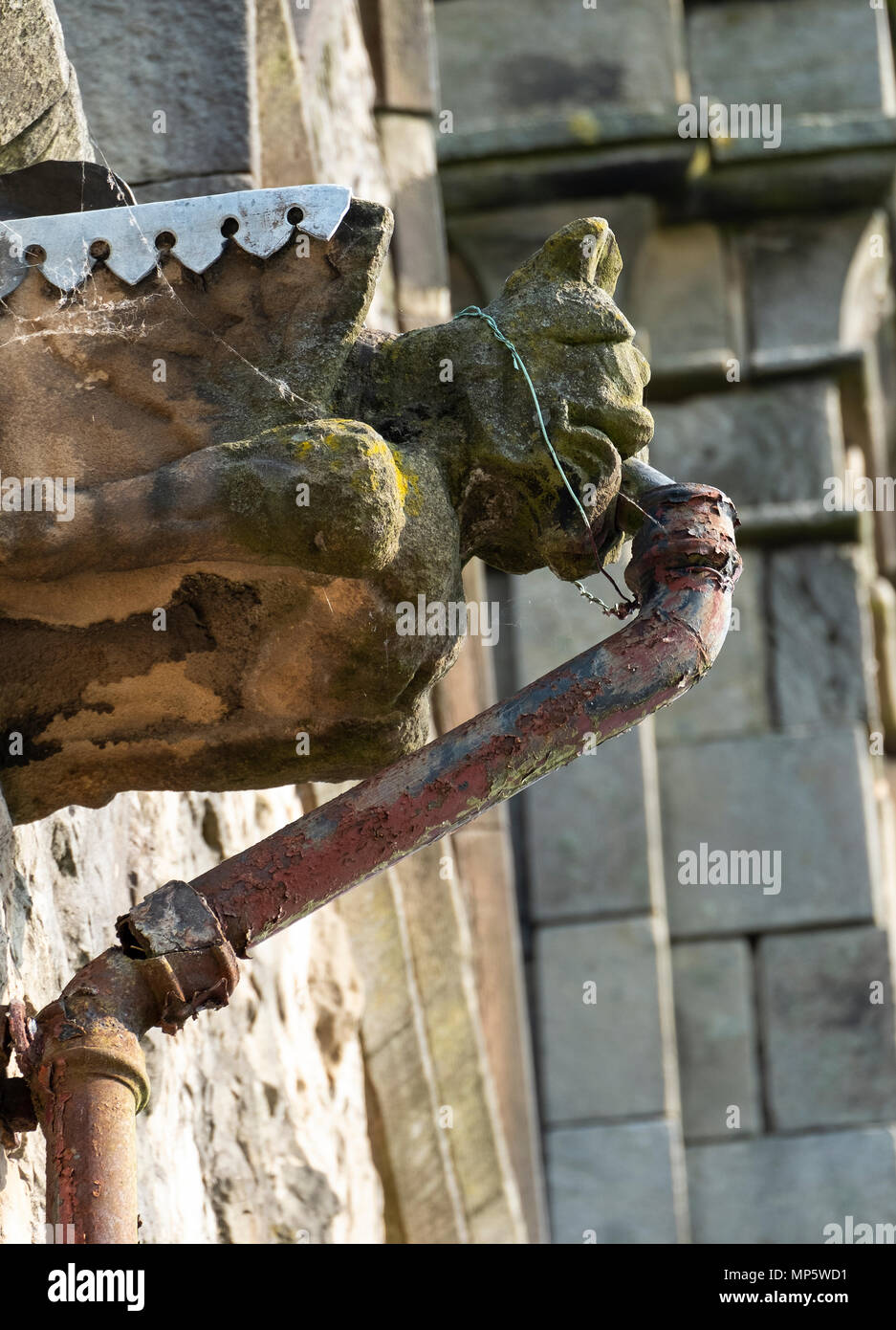 Gargoyle on a church wall Stock Photo - Alamy