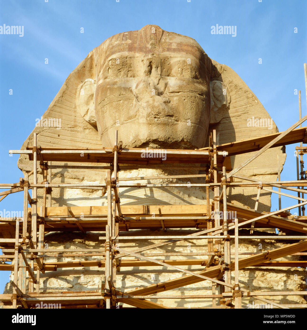 The great Sphinx of the Giza Pyramids complex undergoing restoration in ...