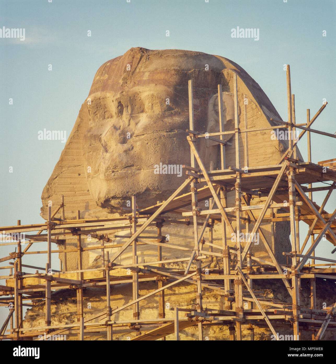 The great Sphinx of the Giza Pyramids complex undergoing restoration in ...