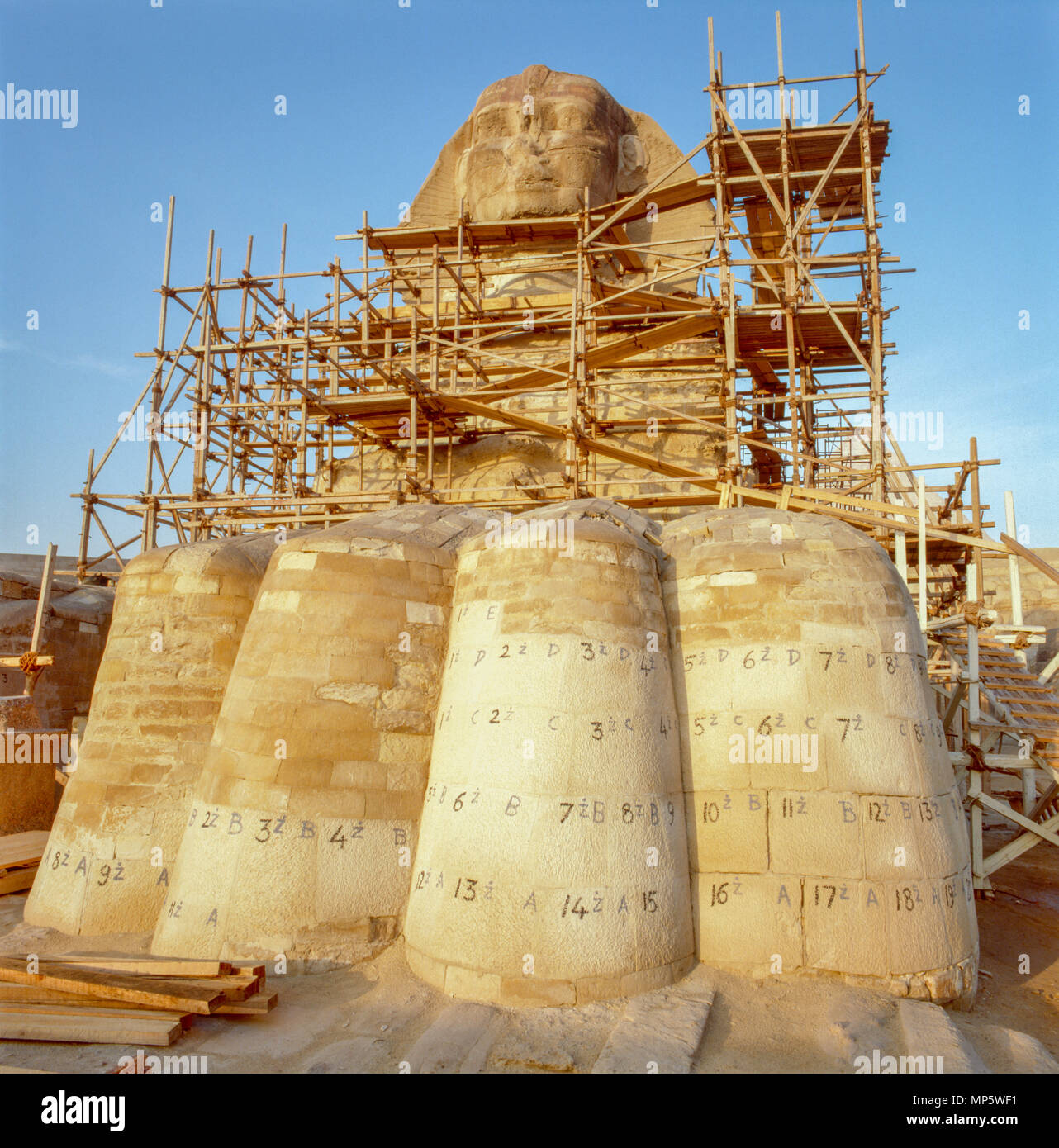 The great Sphinx of the Giza Pyramids complex undergoing restoration in ...