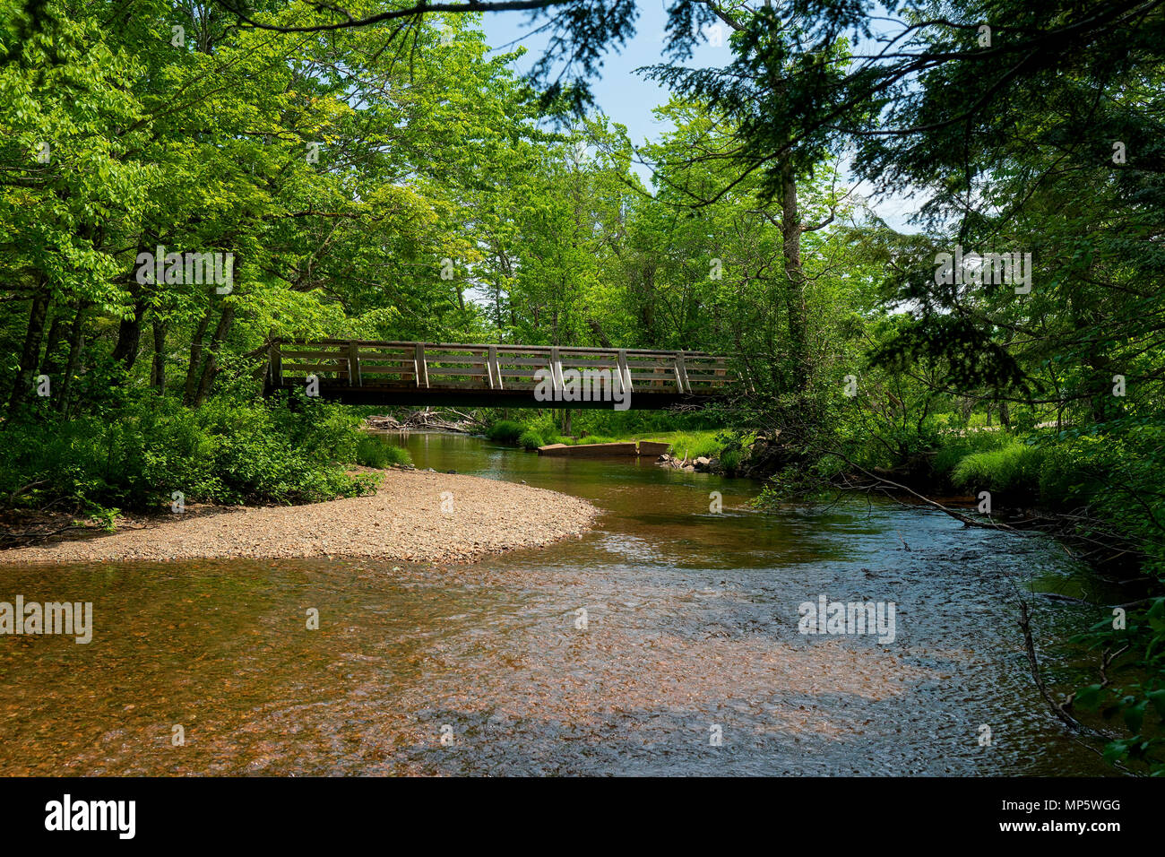 A pedestrian footbridge over a slow moving river in rural Nova Scotia ...