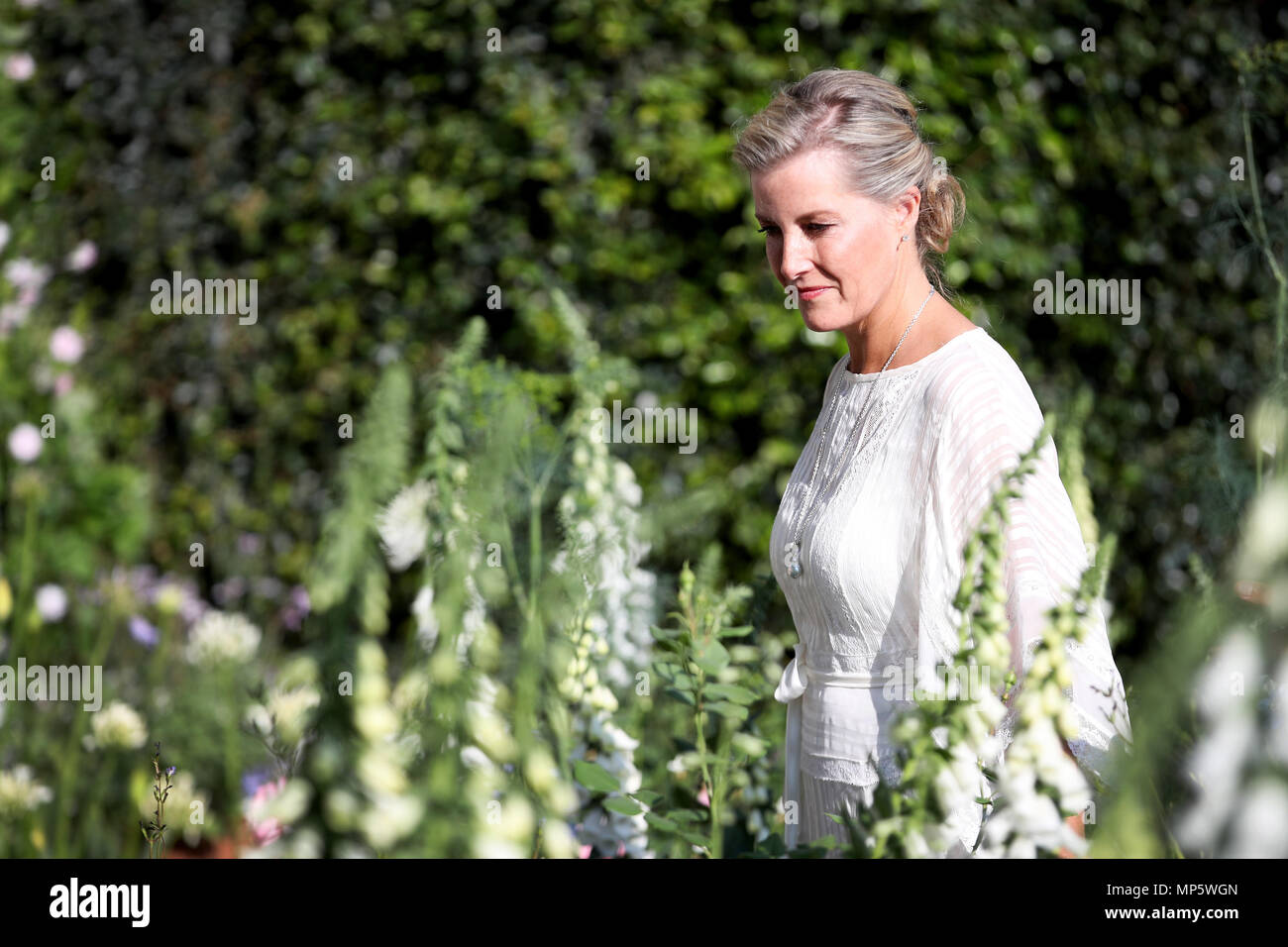 The Countess Of Wessex At The Chelsea Flower Show High Resolution Stock ...