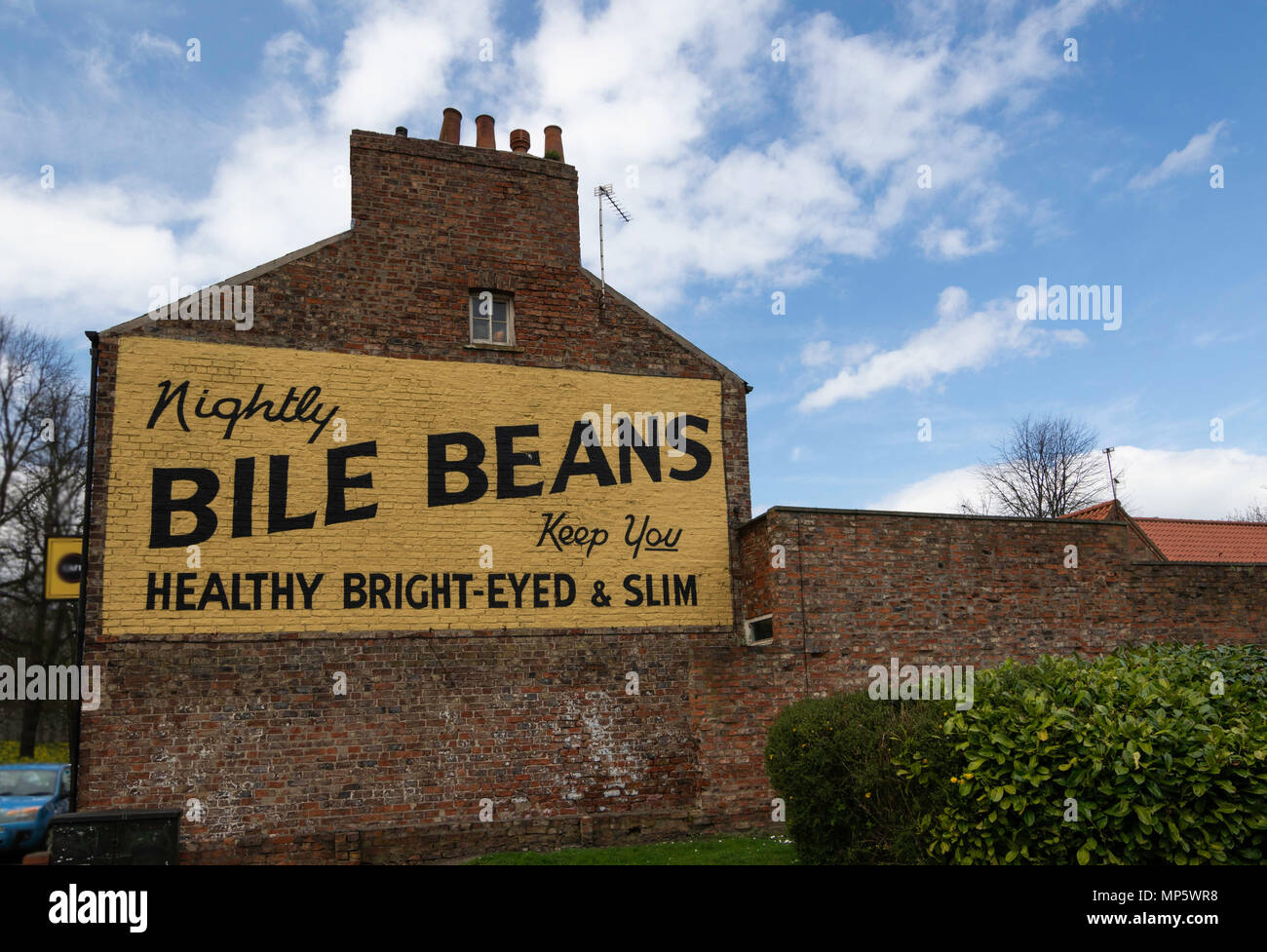 Bile beans york hi-res stock photography and images - Alamy