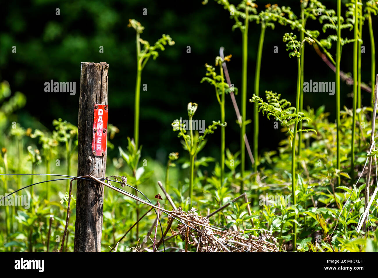 Danger sign at a Forest of Dean free mine Stock Photo - Alamy