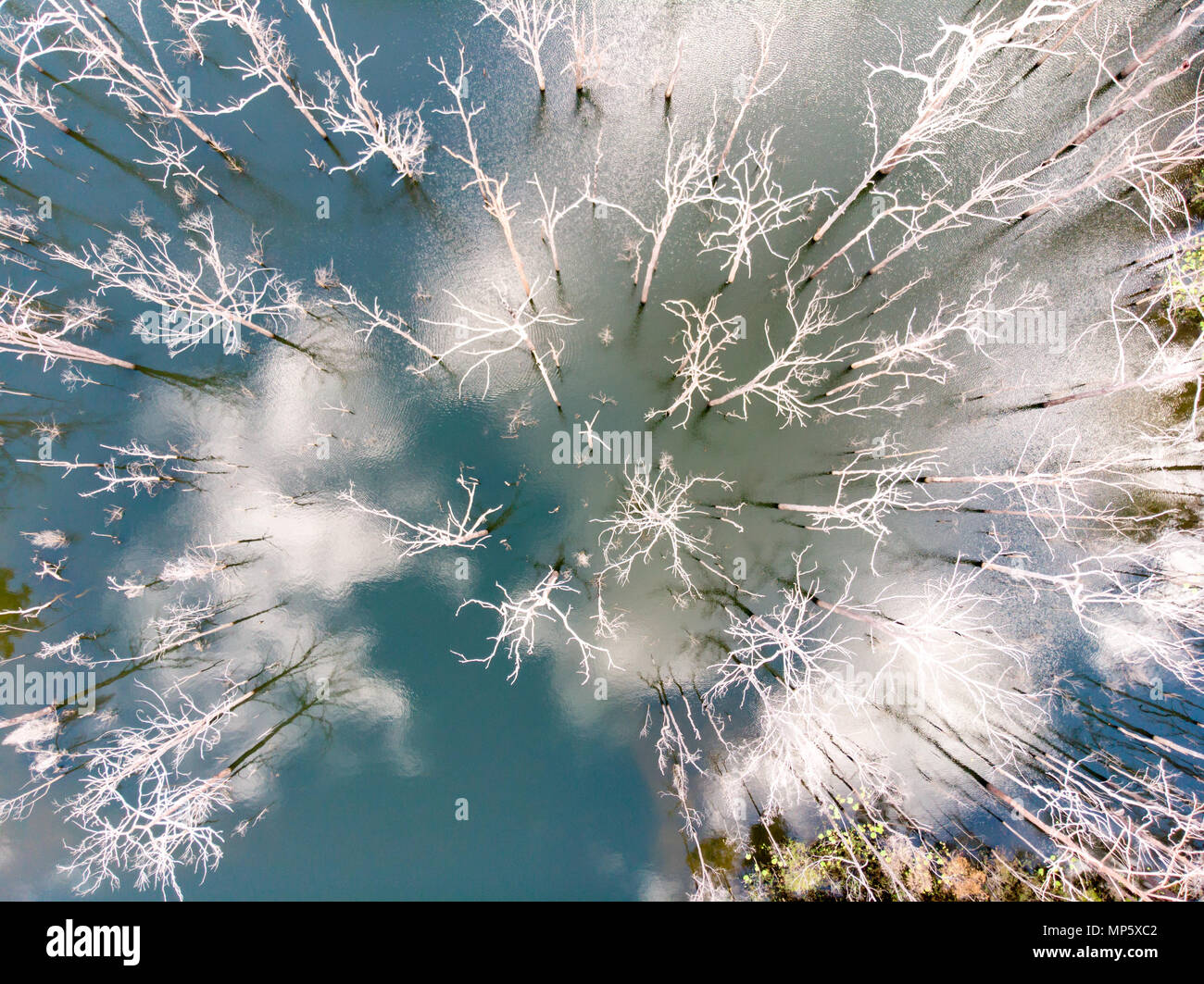 Australia queensland numinbah valley hi-res stock photography and ...