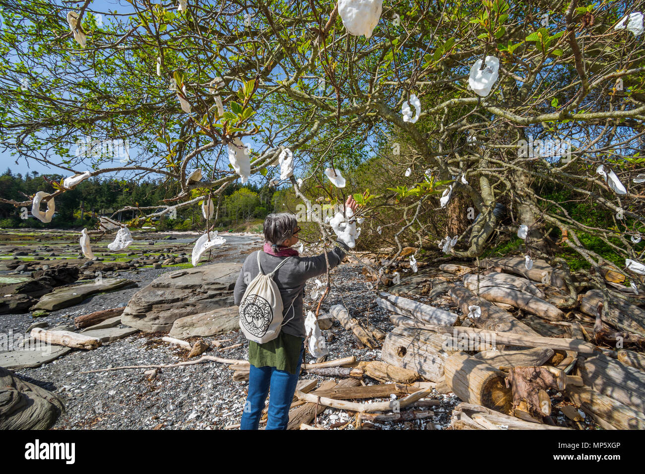 Oyster tree hi-res stock photography and images - Alamy