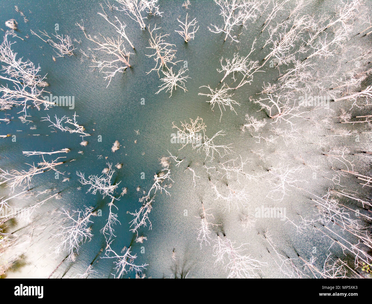 Hinze dam hi-res stock photography and images - Alamy