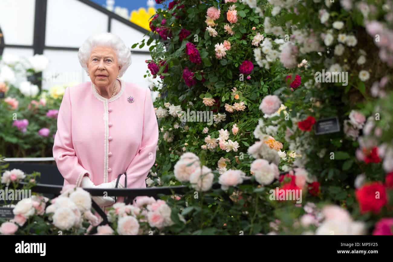Queen Elizabeth II looks at a display of roses on the Peter Beale roses ...