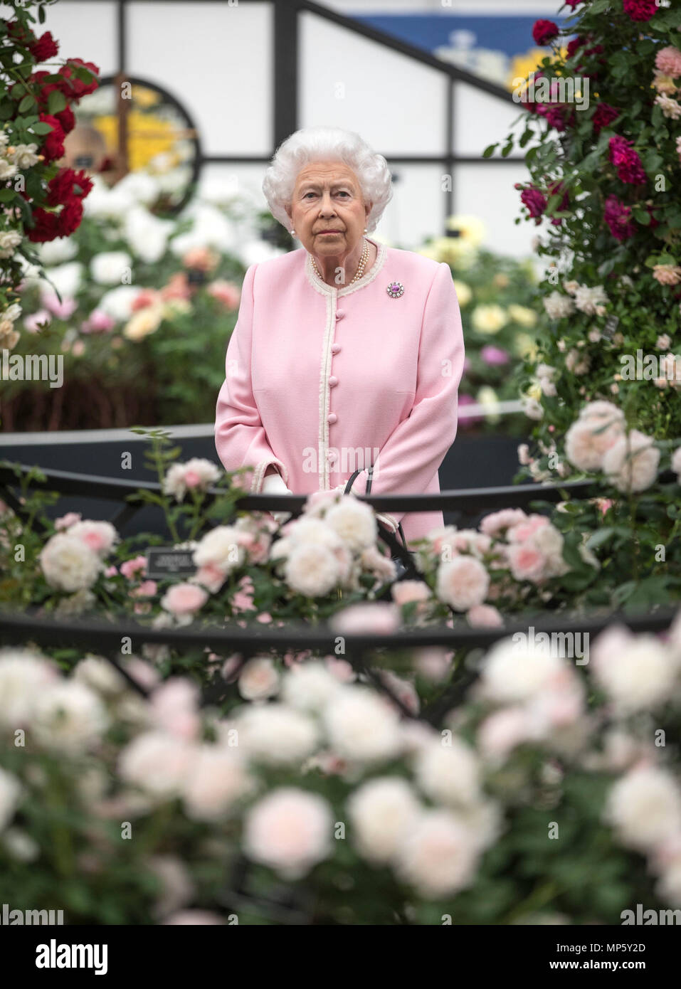 Queen Elizabeth II looks at a display of roses on the Peter Beale roses ...