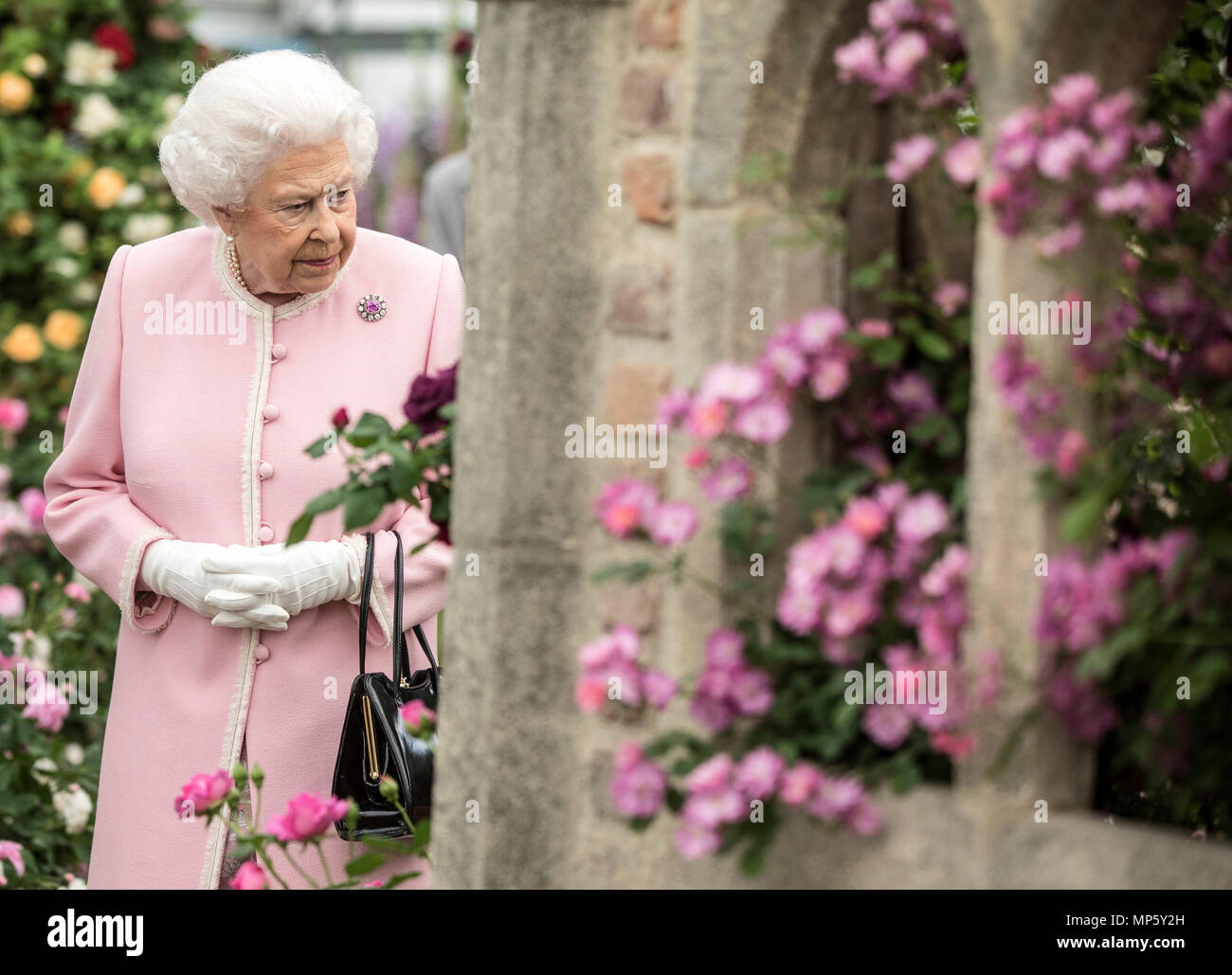 Queen Elizabeth II looks at a display of roses on the Peter Beale roses ...