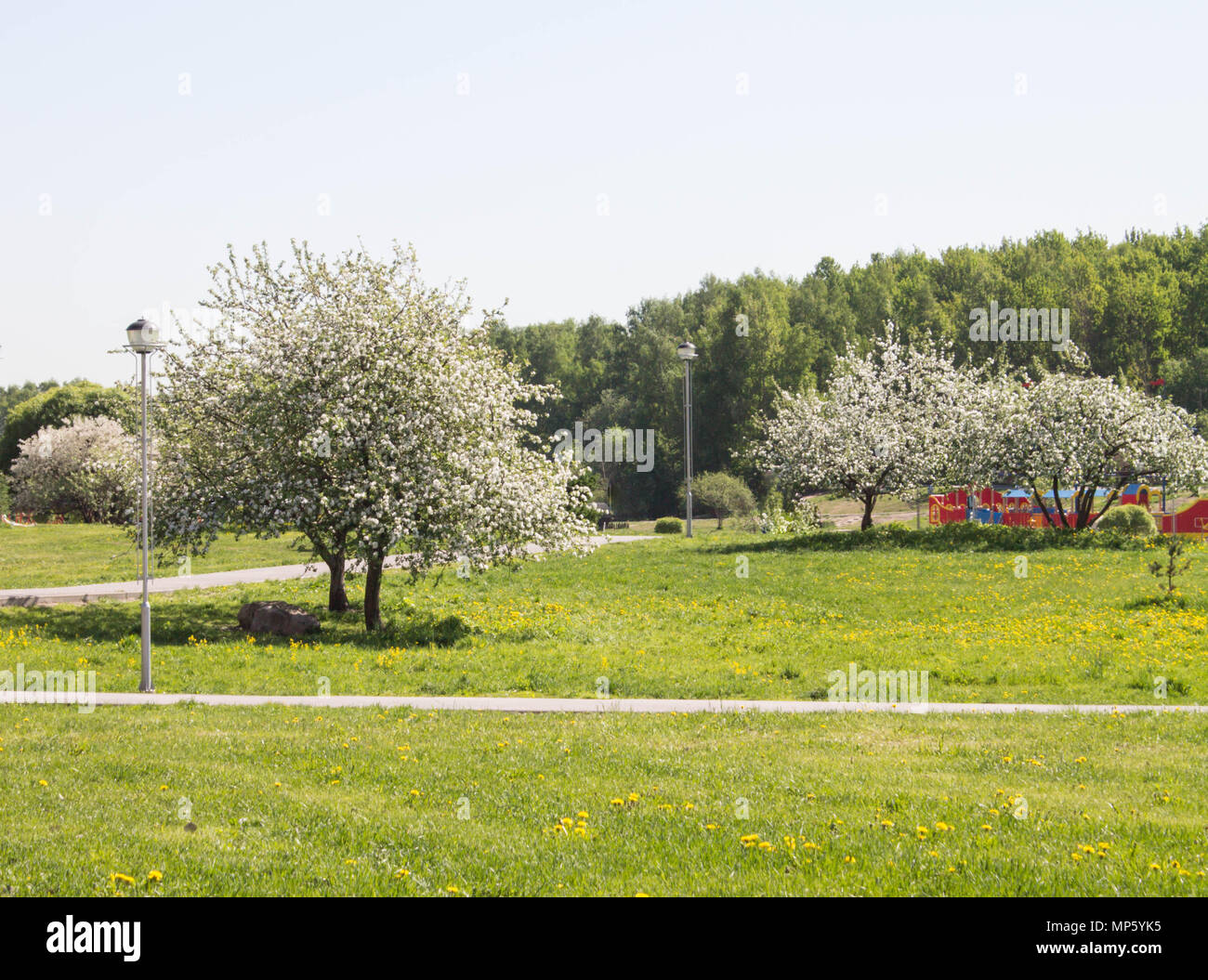 Country road apple tree hi-res stock photography and images - Alamy