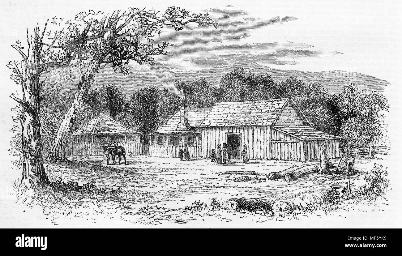 Engraving of a squatter's hut on a pioneering farm in Australia in the ...