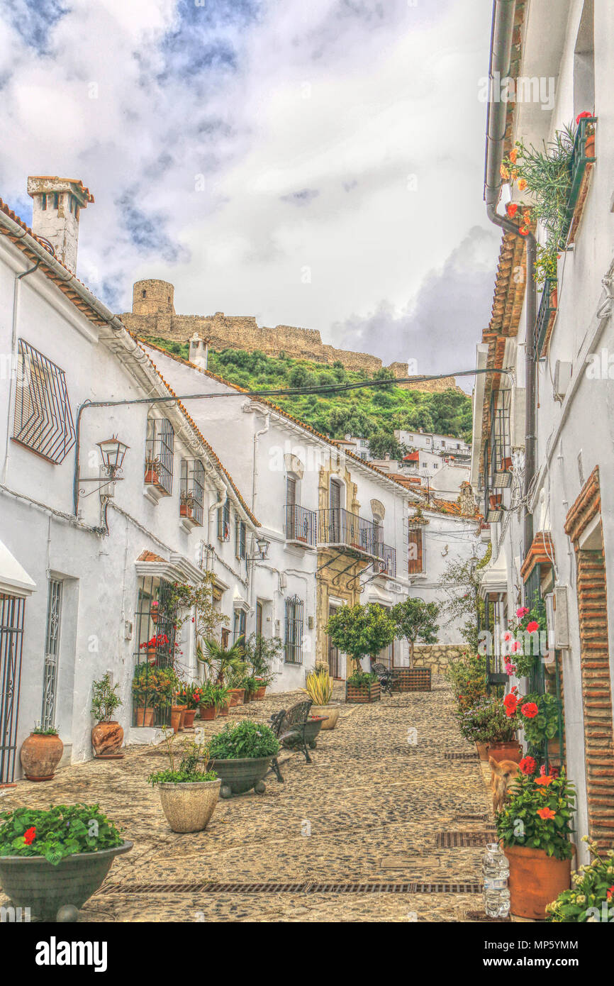 Jimena hi-res stock photography and images - Alamy