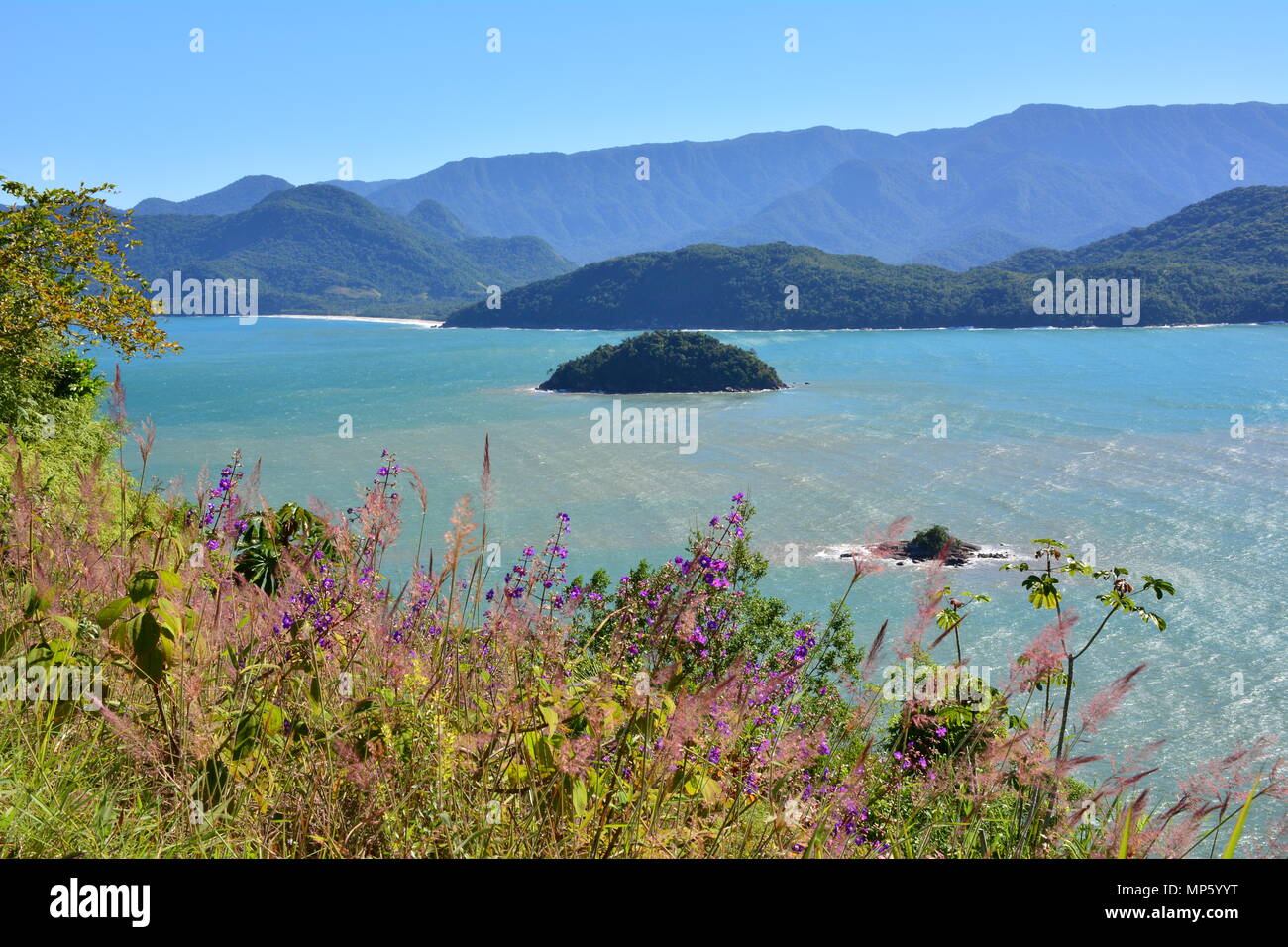 Ubatuba, Brazil High Resolution Stock Photography and Images - Alamy