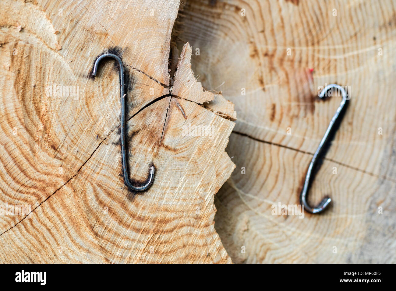 Staples used for wood logs. Accessories for securing wood in the forest ...