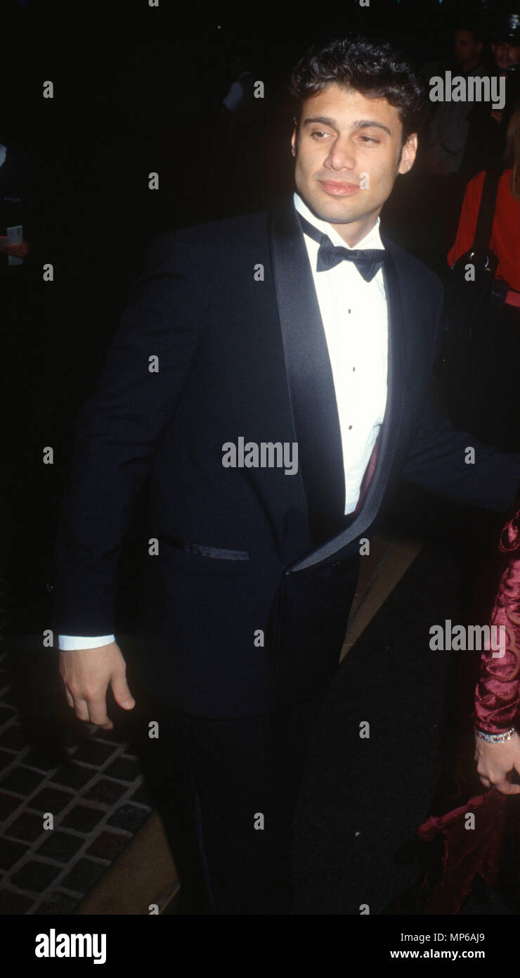 BEVERLY HILLS, CA - JANUARY 19: Actor Steven Bauer attends the 48th ...