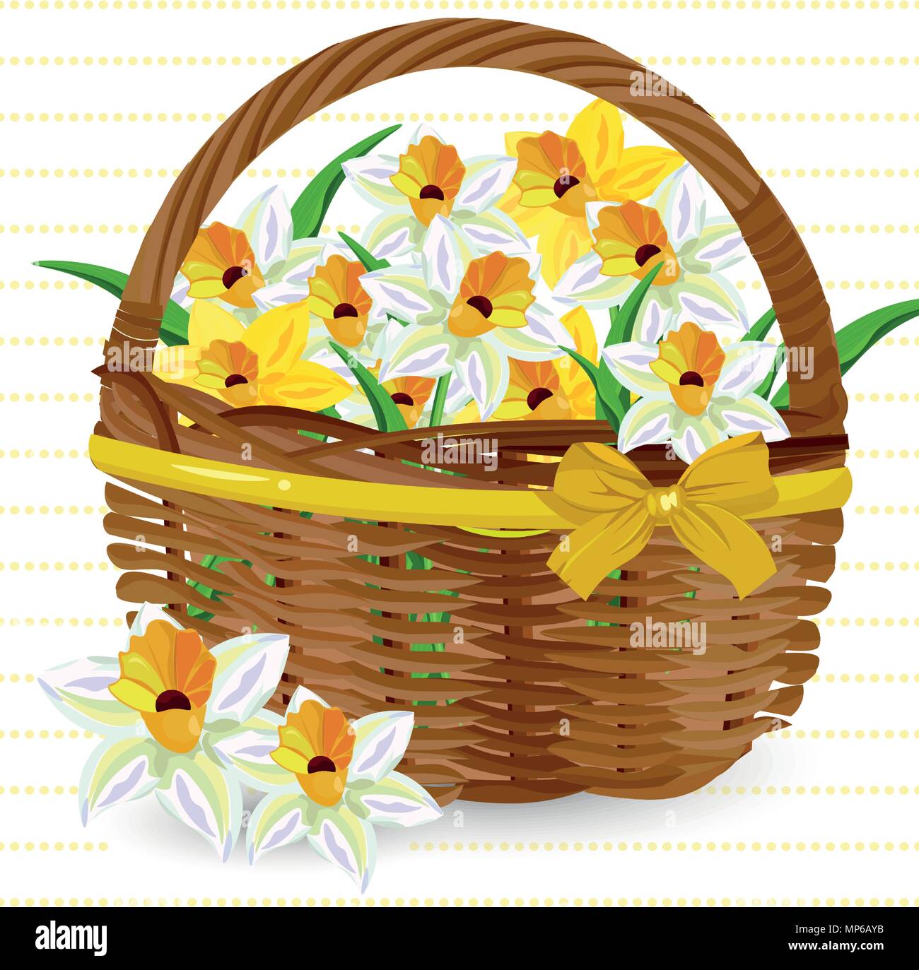 Narcissus daffodil flowers in Stock Vector Images - Alamy