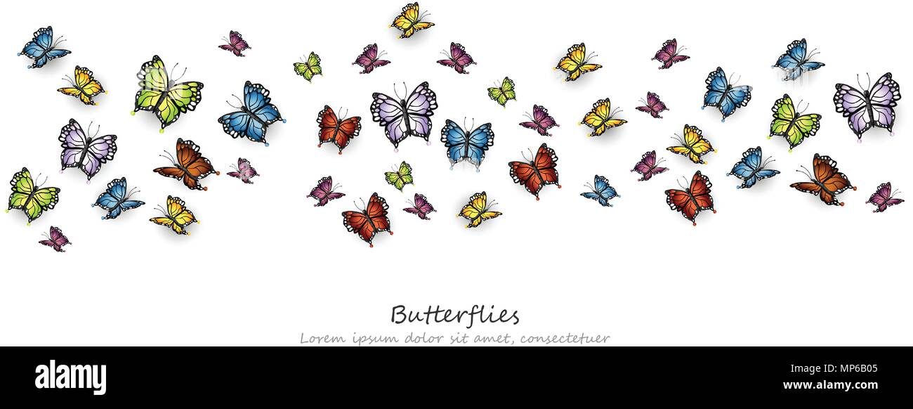 Colorful Butterflies pattern. Vector background illlustration template ...