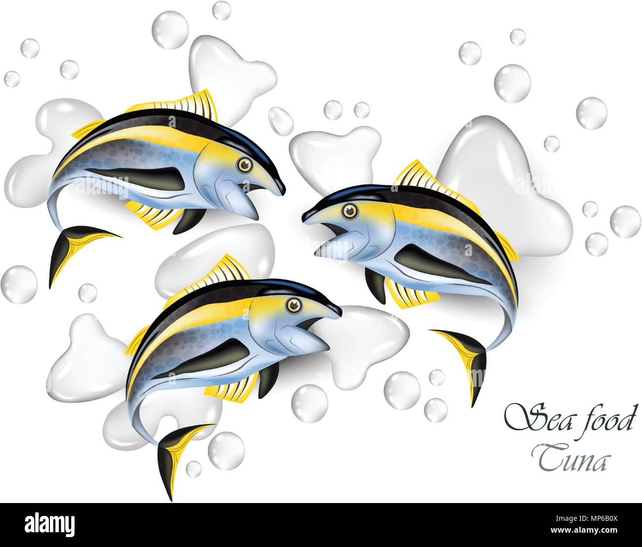 Fresh Tuna fish Vector realistic. Water splash background Stock Vector ...