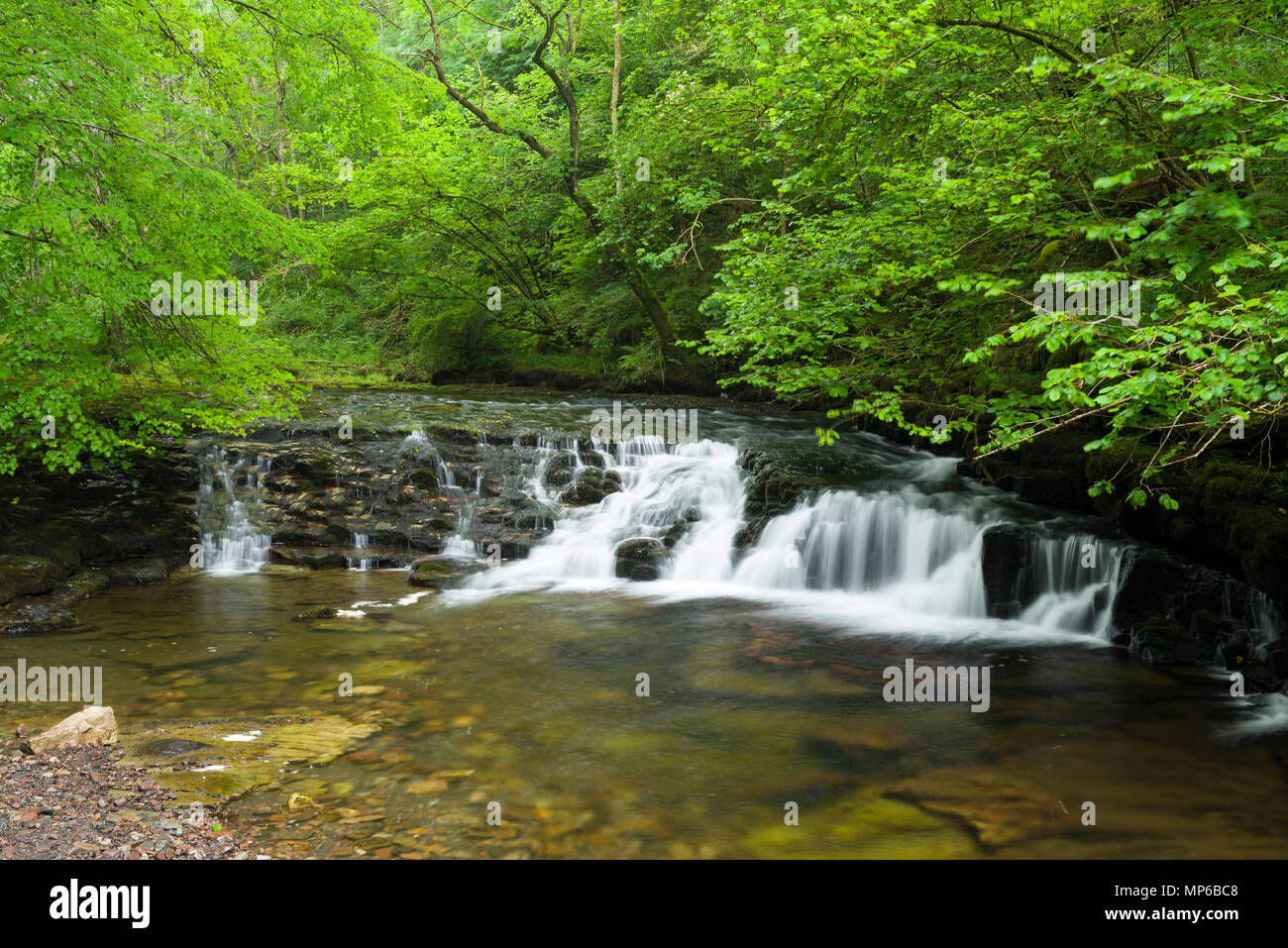Waterfall on the Afon Pyrddin in the Bannau Brycheiniog (Brecon Beacons ...
