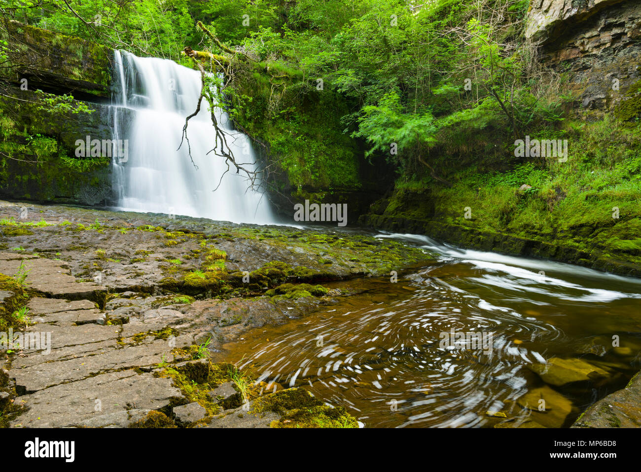 Sgwd Clun-gwyn (White Meadow Fall) waterfall on the Afon Hepste river ...