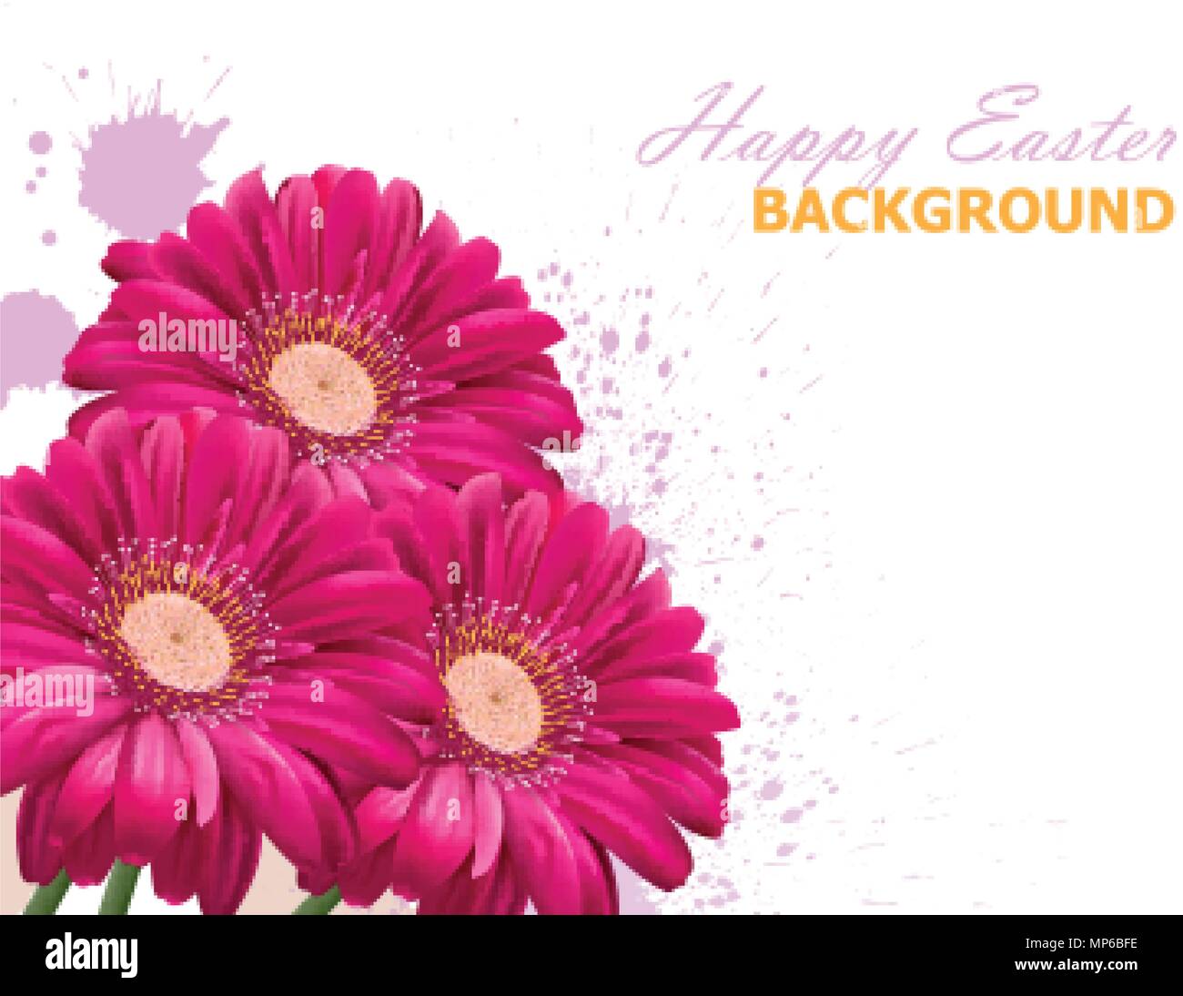 Happy Easter daisy flowers bouquet card. Spring floral beauty Fuchsia ...