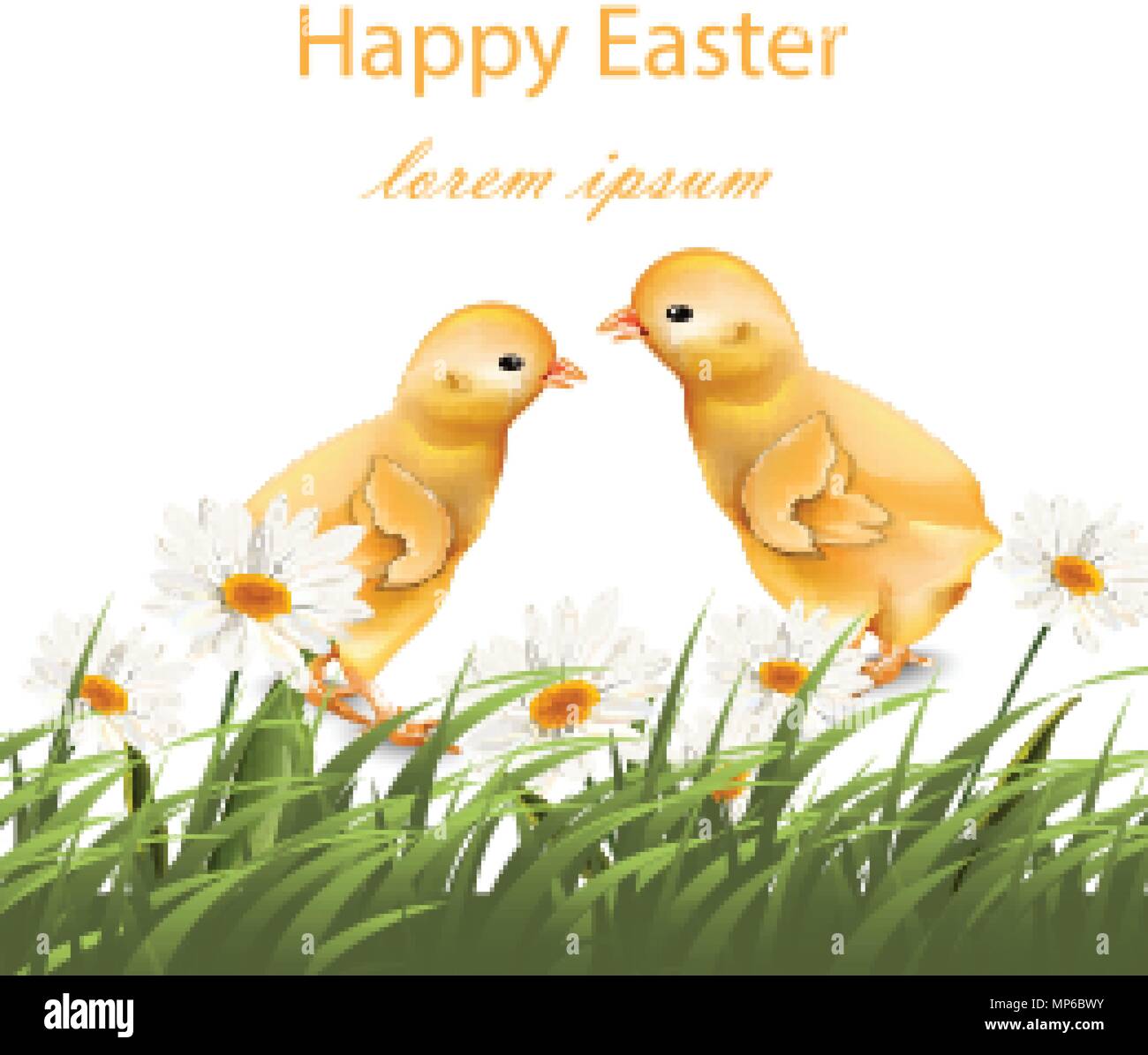 Happy Easter chickens card Vector. Chamomile field background ...