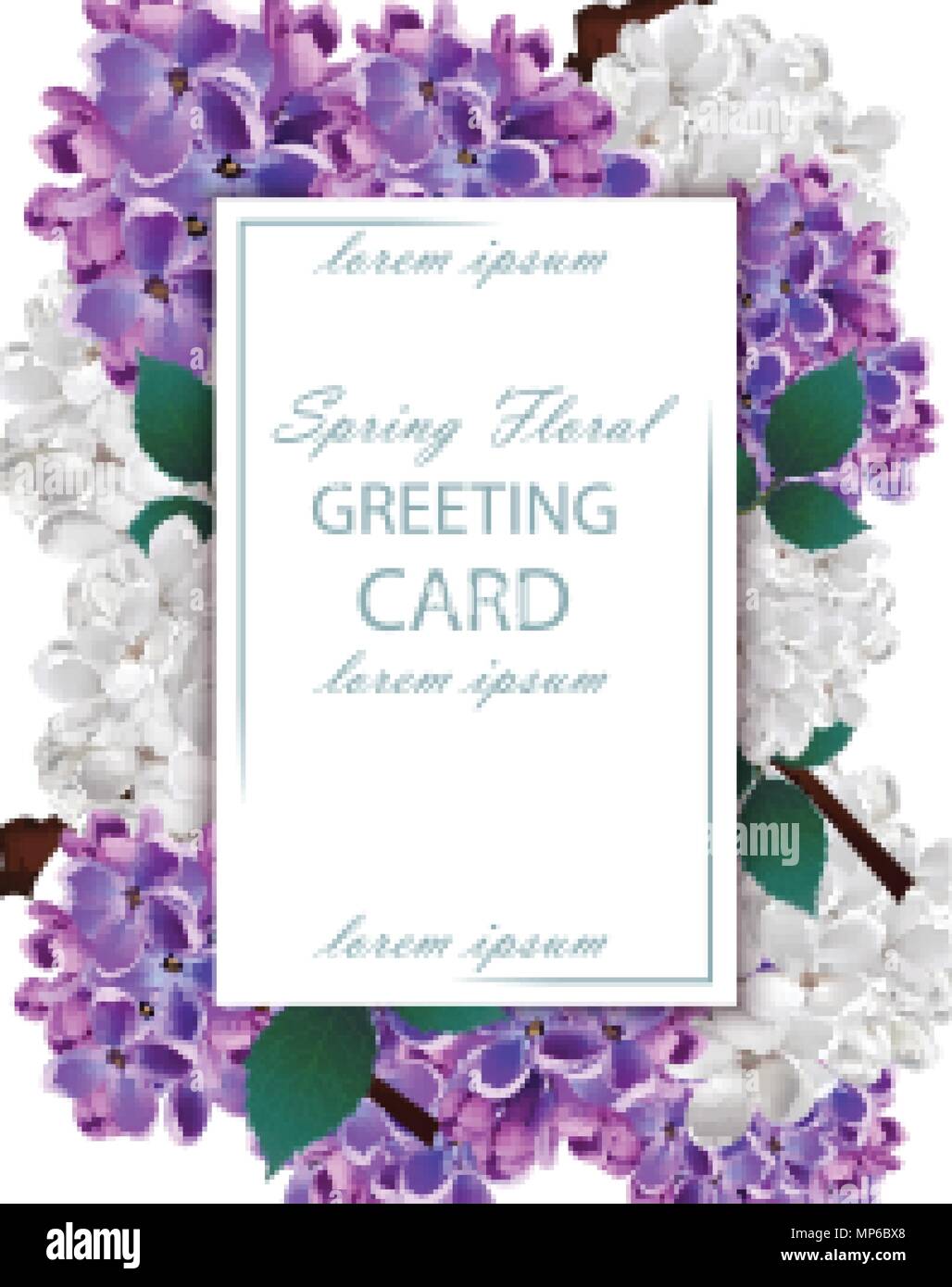 Lilac flowers beautiful card Vector. Spring floral holiday invitation ...