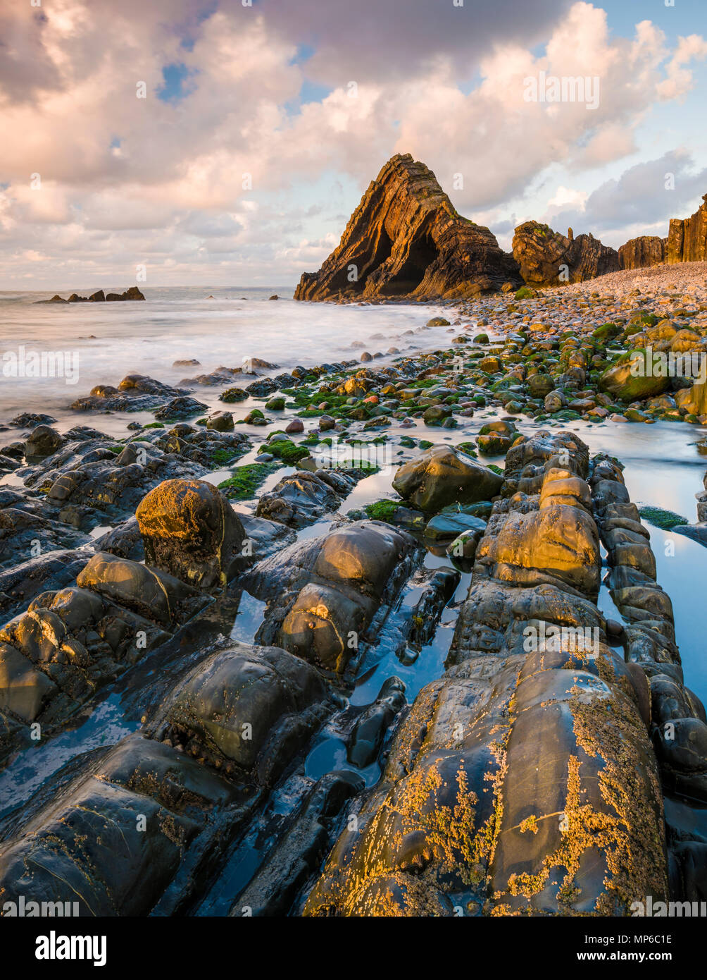 Sea stack devon hi-res stock photography and images - Alamy