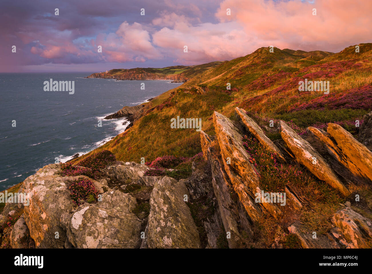Bull point devon hi-res stock photography and images - Alamy