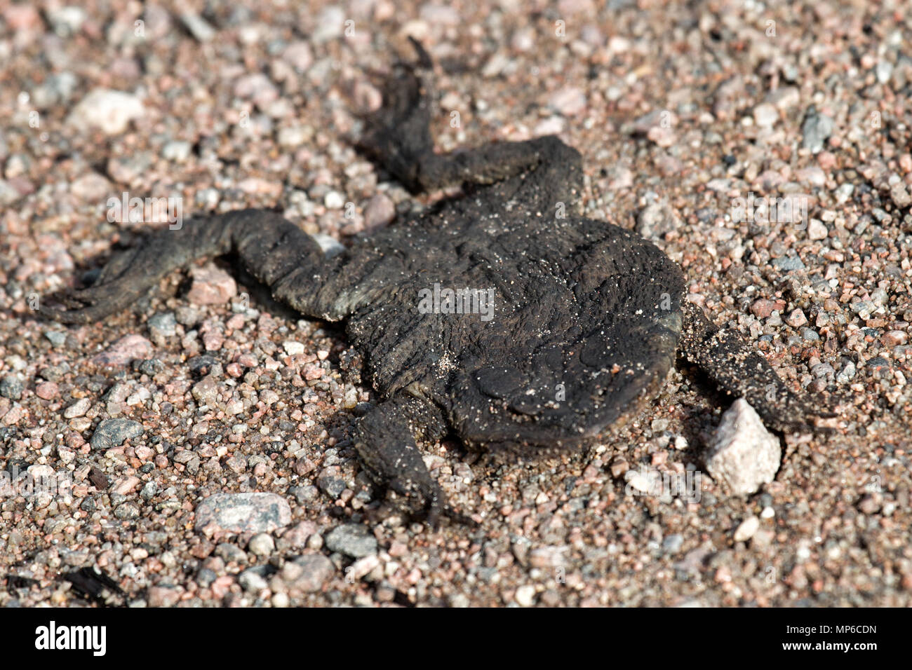 Law of mass conservation hi-res stock photography and images - Alamy