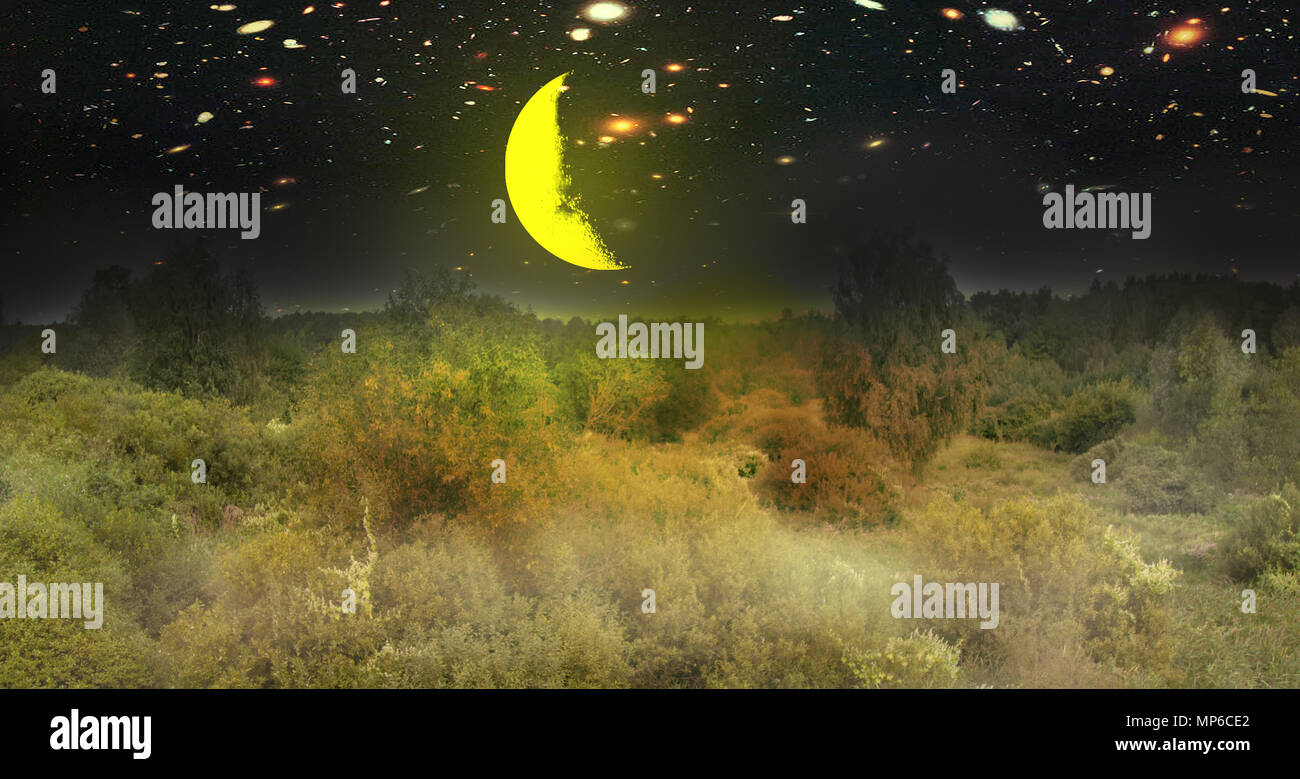 moon and mysterious nocturnal landscapes with space part. night open ...