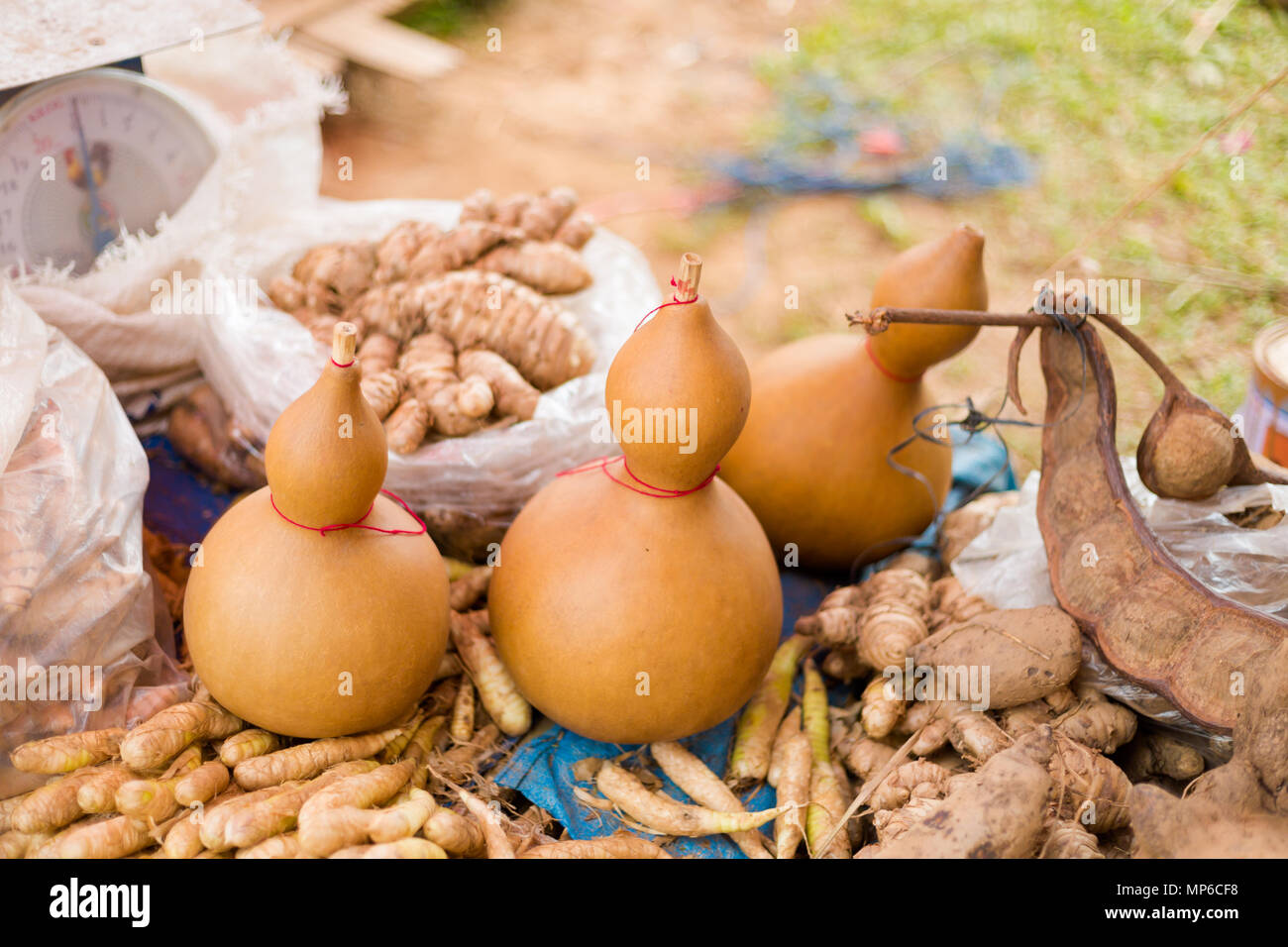 Dried gourd hi-res stock photography and images - Alamy