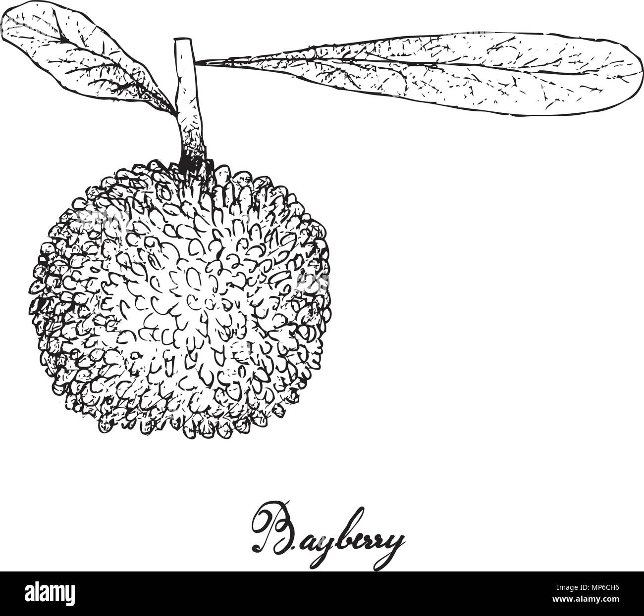 Yumberry hi-res stock photography and images - Alamy