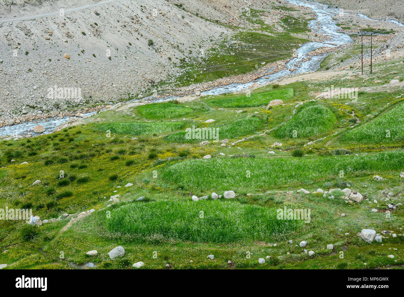 Leh ladakh spring hi-res stock photography and images - Alamy