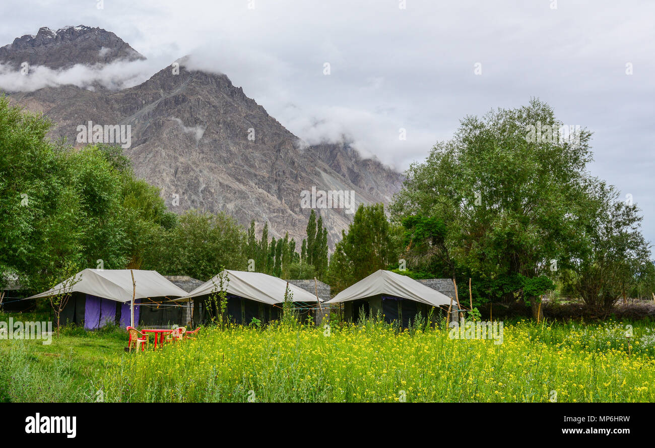 Tented tourist camps in Ladakh, India. Ladakh is the highest plateau in ...