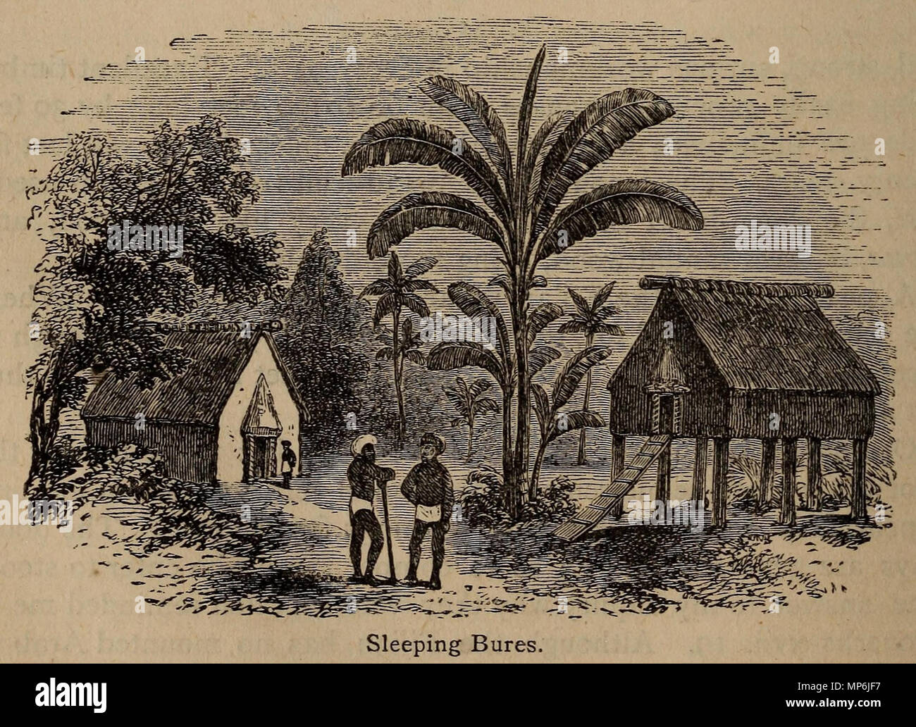 . English: Sleeping houses (sleeping bure), Fiji. circa 1858, 1871 ...