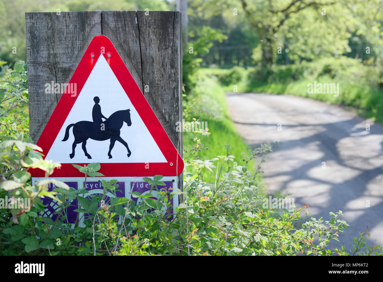 Horse pony riding beware warning sign road animal riders trekking on ...