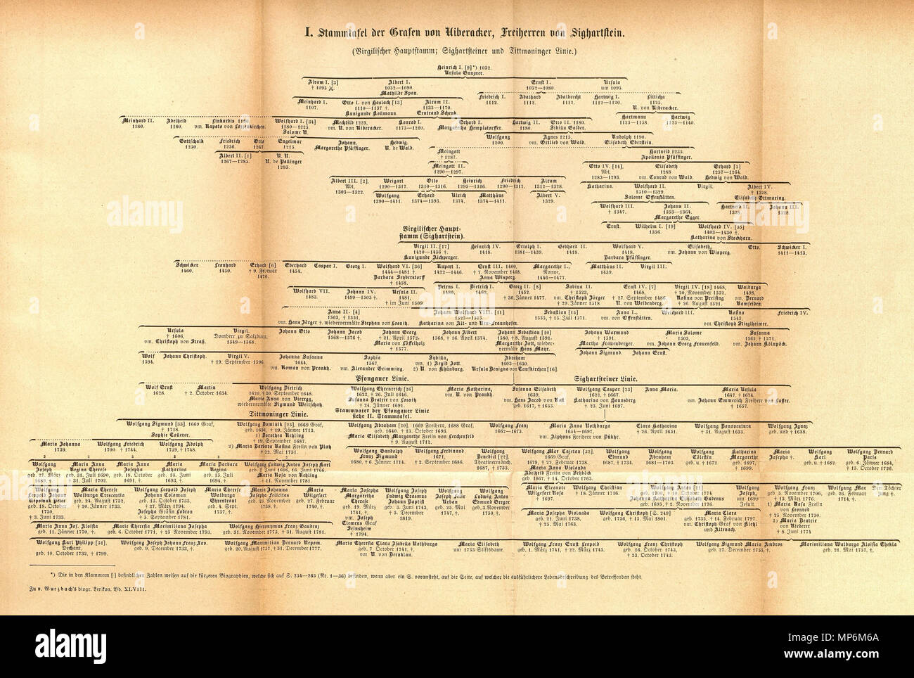 Family tree chart hi-res stock photography and images - Alamy