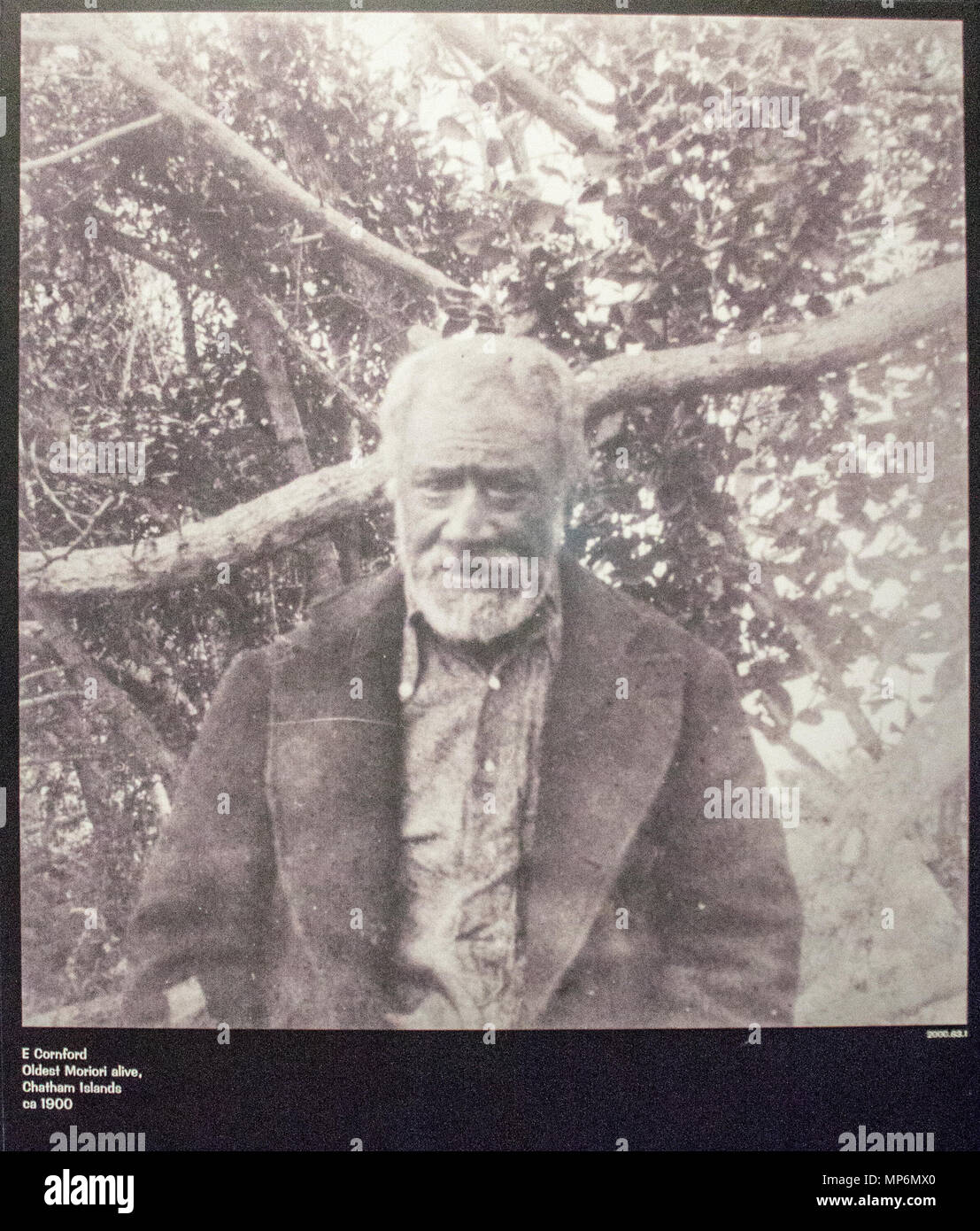 Photo of a Moriori man 1900. 983 Photo of a Moriori man, 1900 ...