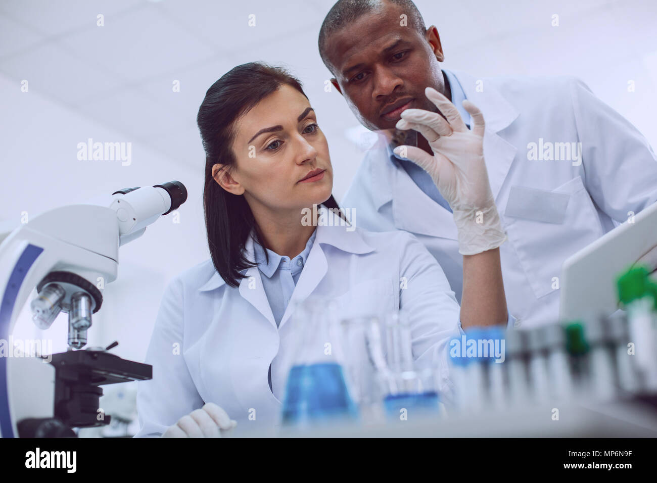 Serious scientists looking at a sample Stock Photo - Alamy
