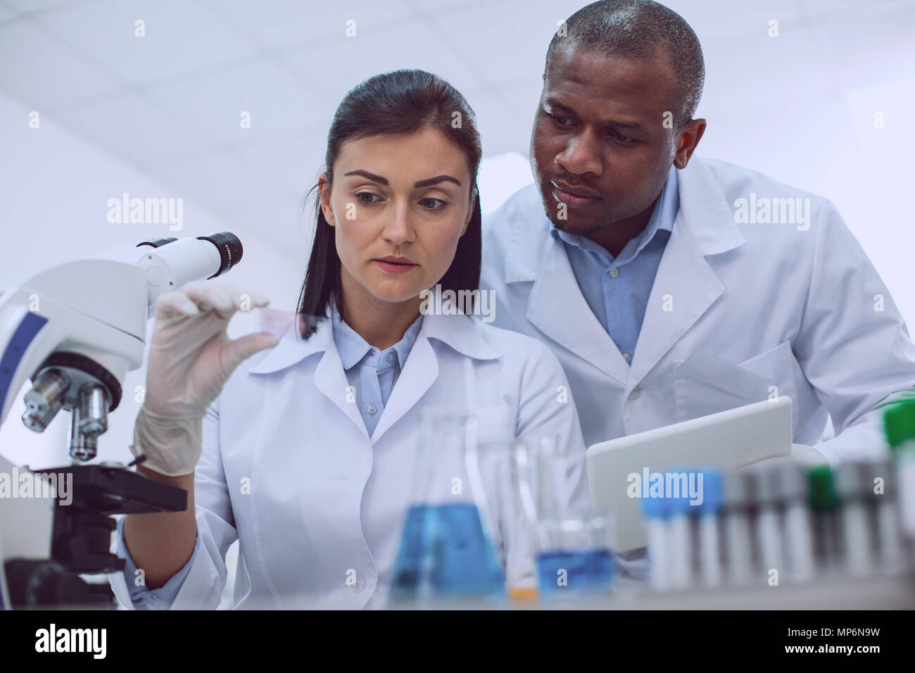 Concentrated scientists looking at a sample Stock Photo - Alamy