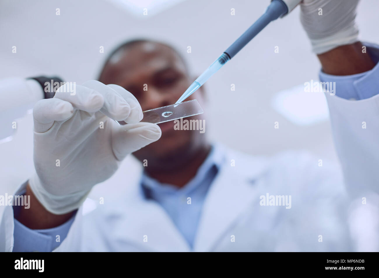 Concentrated biologist doing an interesting test Stock Photo - Alamy